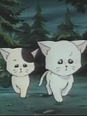 Meow no Hoshi - Anime