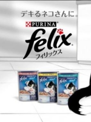 Purina Felix - Anime